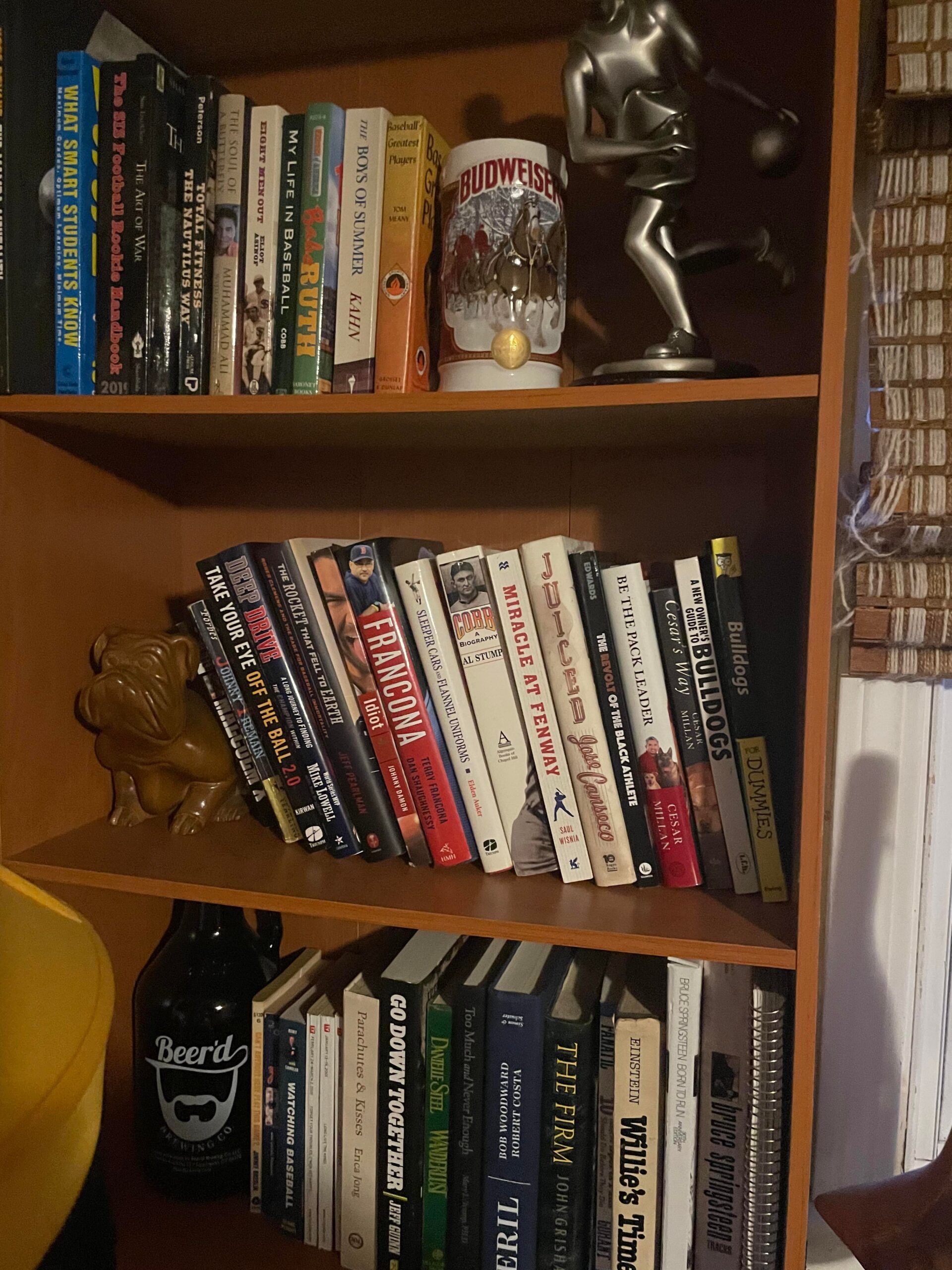 45 Basketball Non Fiction Books: Ballers Rejoice Everywhere ...